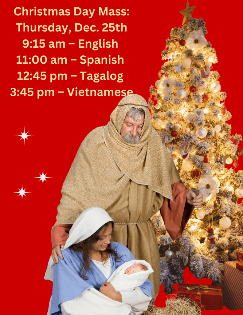 Mass & Confession Times – Most Holy Trinity Catholic Church San Jose